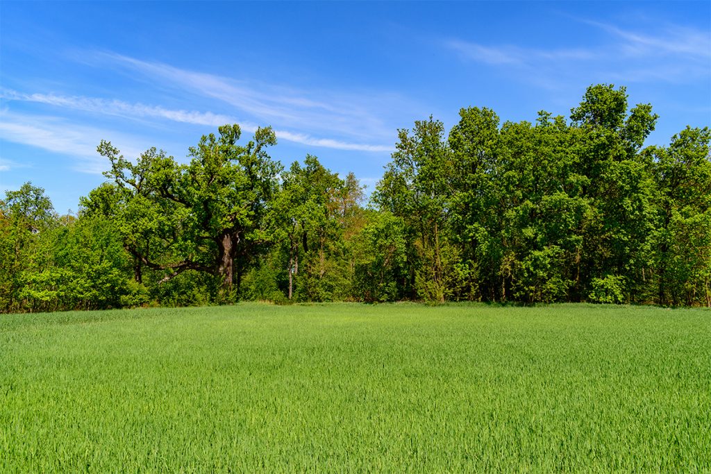 Tennessee Land Investment Guide: Acreage Appreciation & Development ...